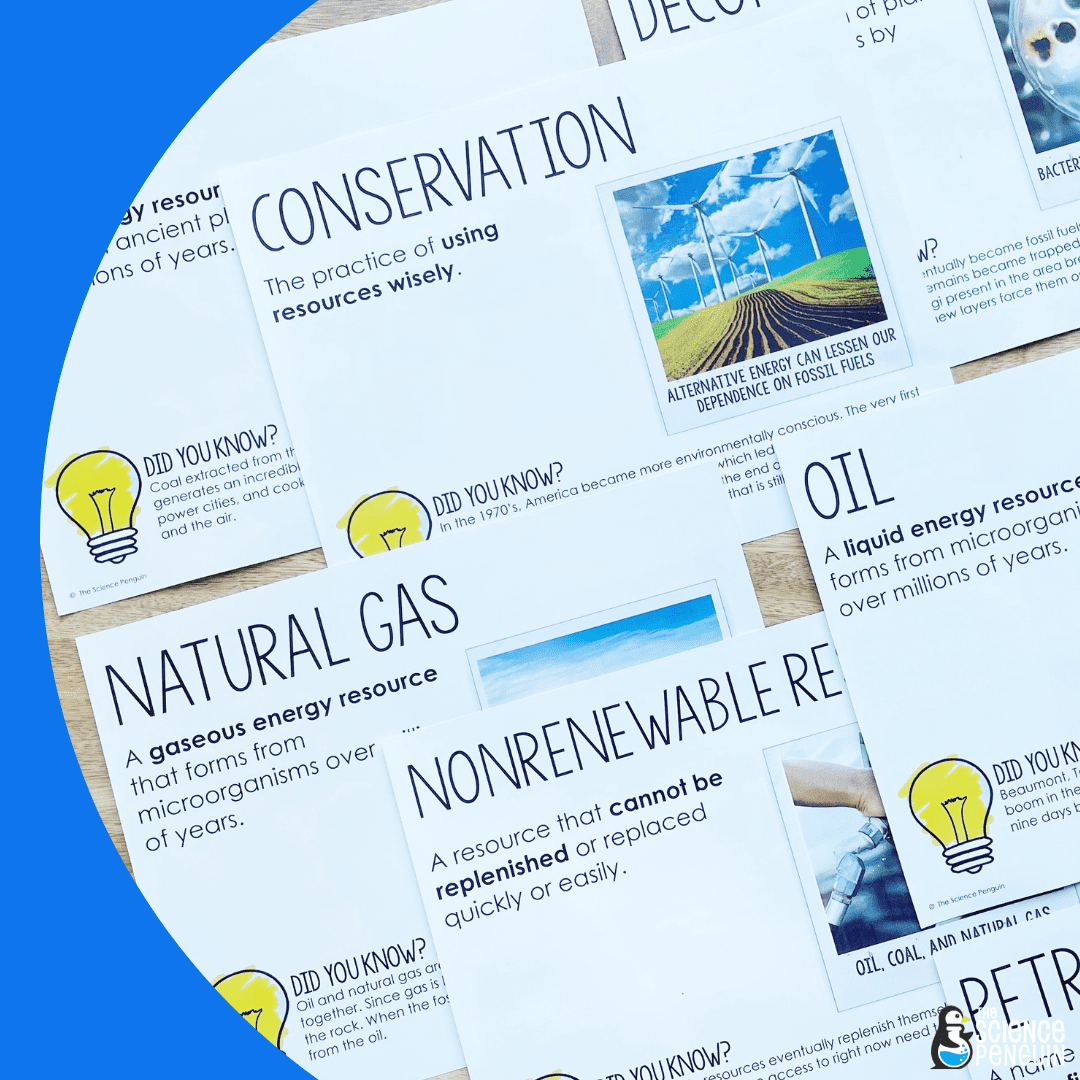 3 Unique & Easy Science Word Wall Ideas — The Science Penguin