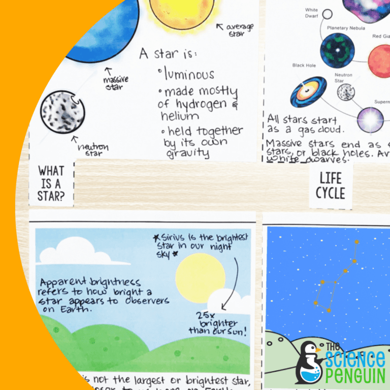 5 Ideas to Teach 5th Grade Stars — The Science Penguin