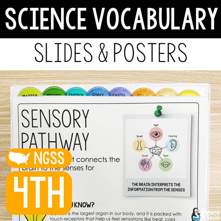 3 Unique & Easy Science Word Wall Ideas — The Science Penguin