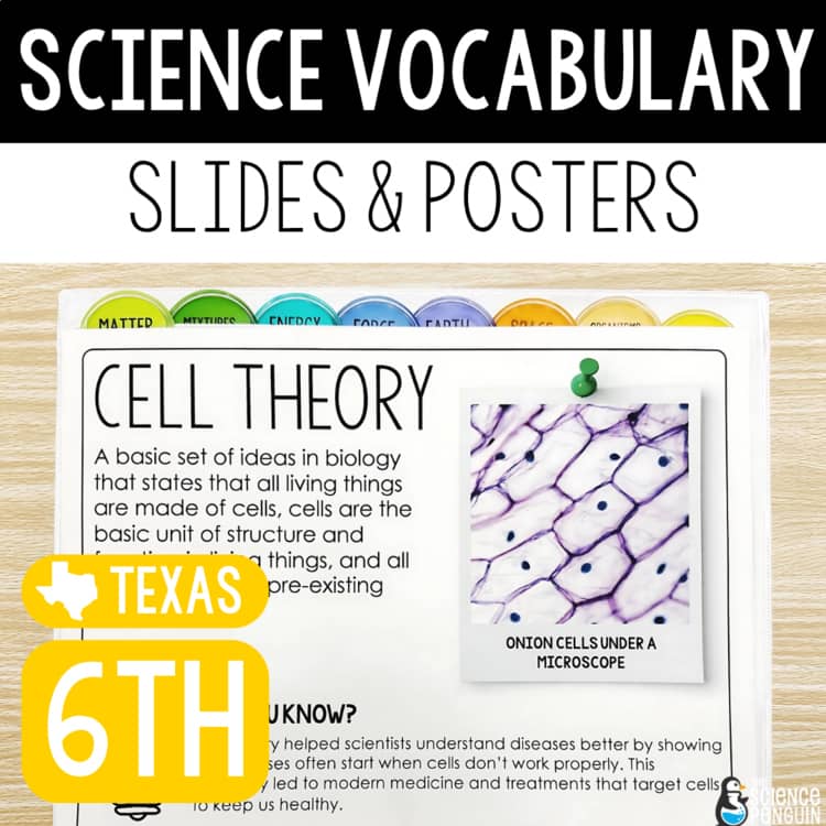 3 Unique & Easy Science Word Wall Ideas — The Science Penguin