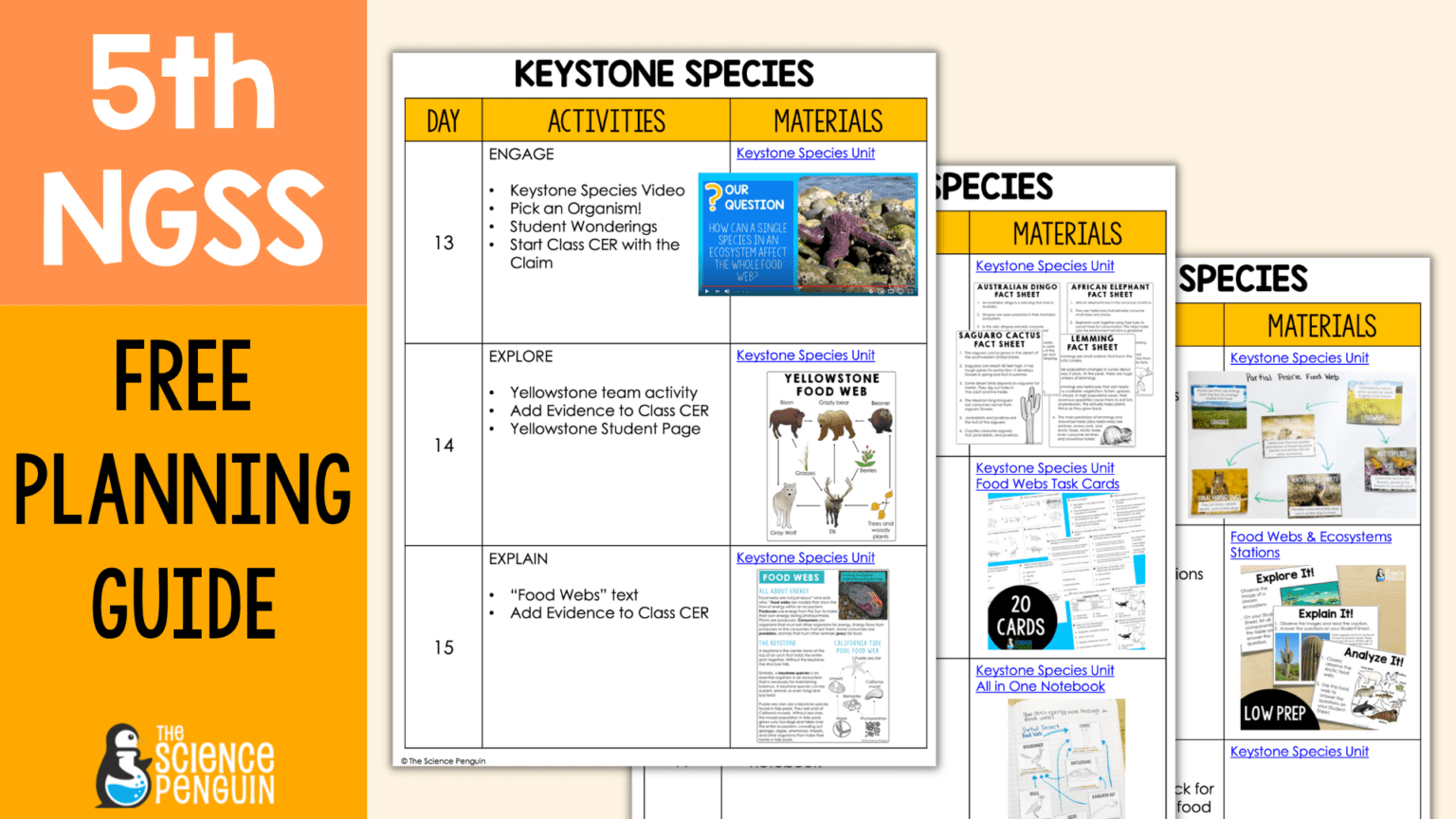 5th Grade Science Penguin Activities You'll Love- Better Than a ...