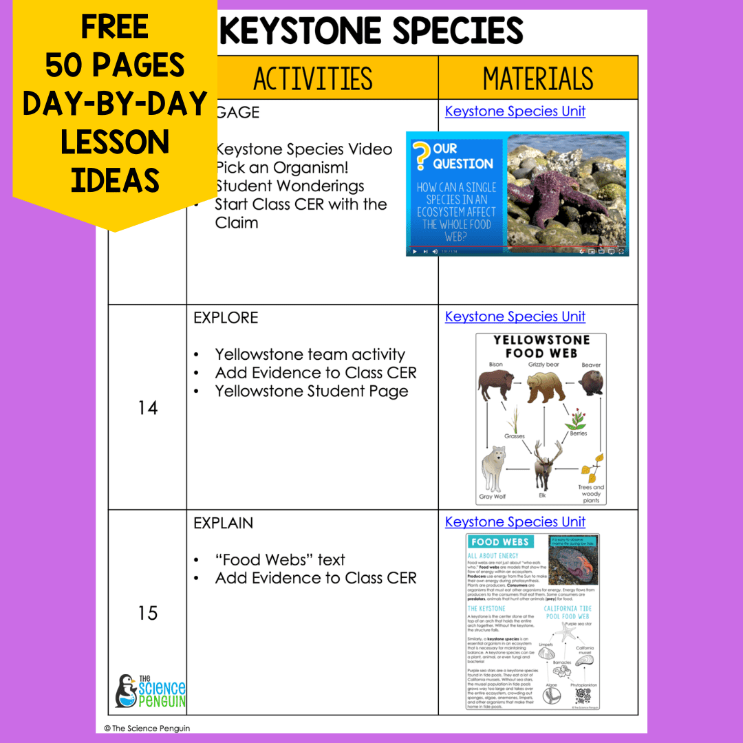 5th Grade NGSS Planning Guide — The Science Penguin