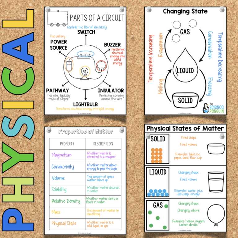 3 Unique & Easy Science Word Wall Ideas — The Science Penguin