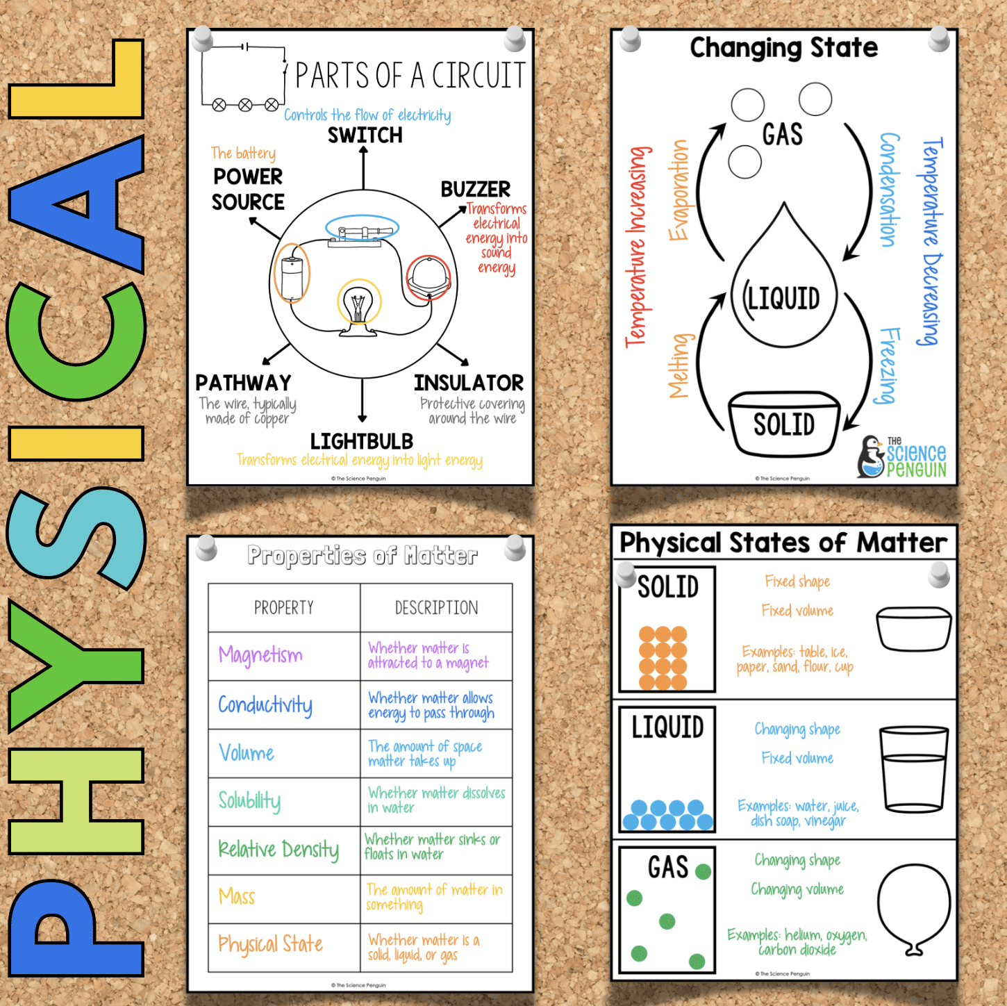 3 Unique & Easy Science Word Wall Ideas — The Science Penguin