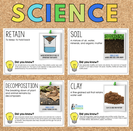 3 Unique & Easy Science Word Wall Ideas — The Science Penguin