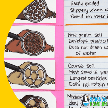 5 Ideas for Teaching Soil — The Science Penguin