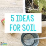 5 Ideas for Teaching Soil — The Science Penguin