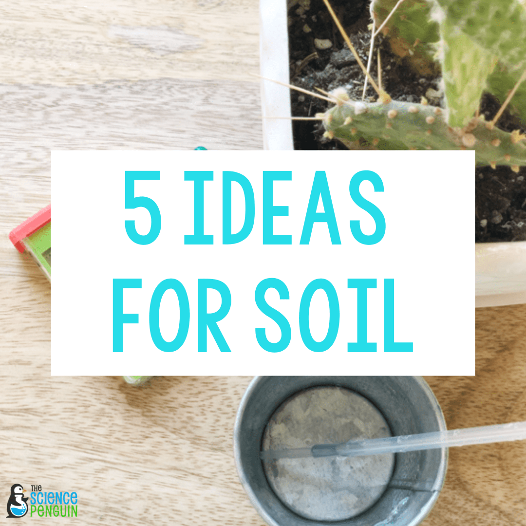 5 Ideas for Teaching Soil — The Science Penguin