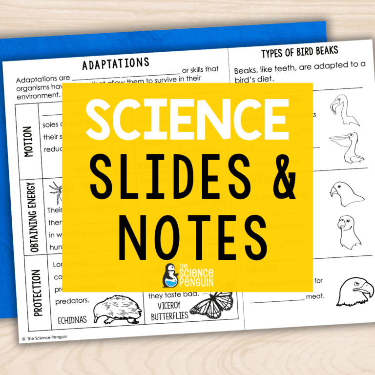 EASY Science Lessons with Slides & Worksheet Notes for 4th Grade and ...