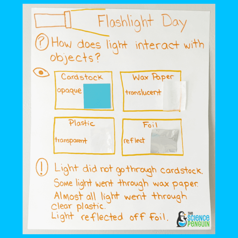5 Phenomenal Ideas to Teach Light: Reflection and Refraction in 5th ...