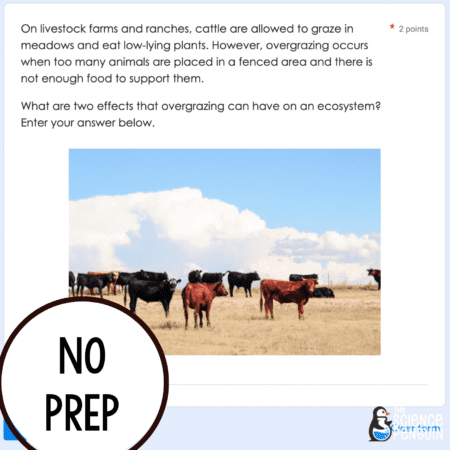 5th Grade Science STAAR: 3 Tips to Master Short Constructed Response ...