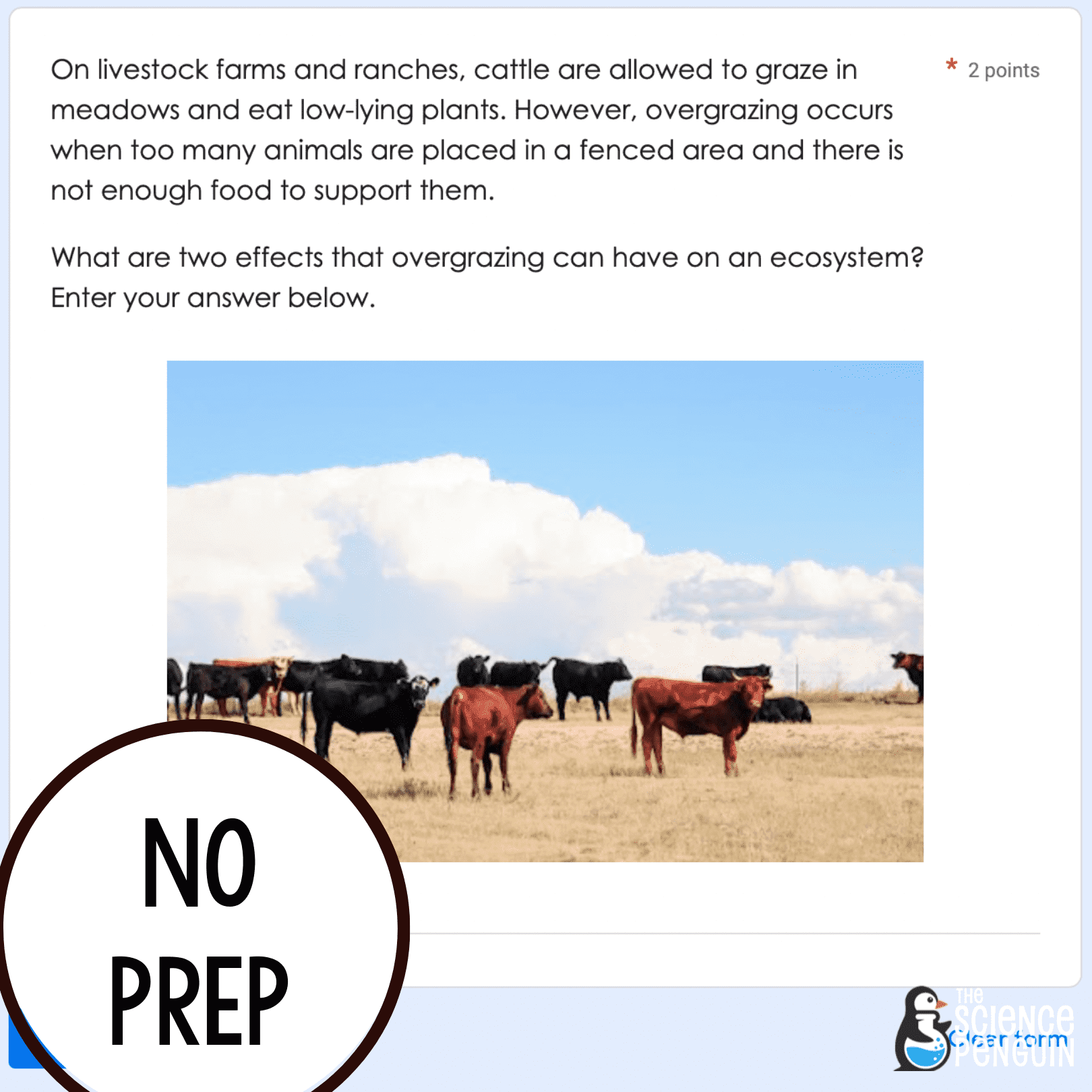 5th Grade Science STAAR: 3 Tips to Master Short Constructed Response ...