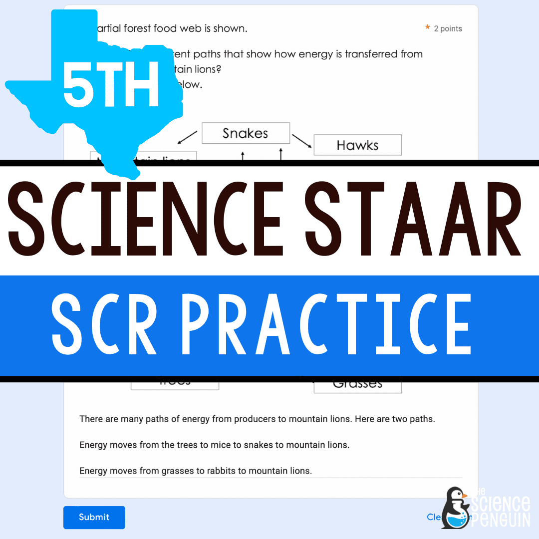 5th Grade Science STAAR: 3 Tips to Master Short Constructed Response ...