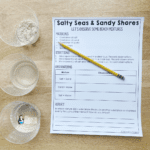 5th Grade Mixtures and Solutions at the Beach — The Science Penguin