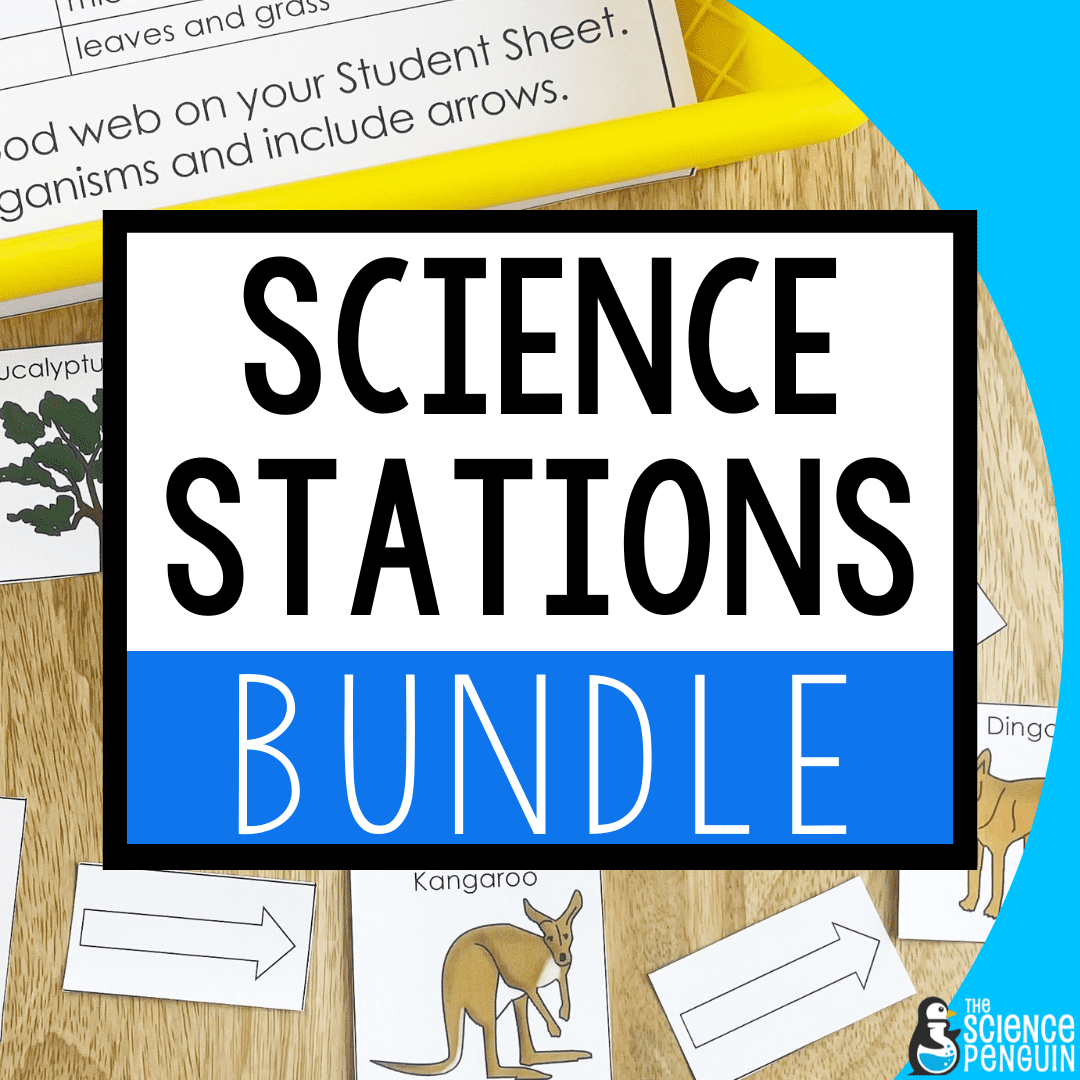 3 Top Tips for Science Stations Success — The Science Penguin
