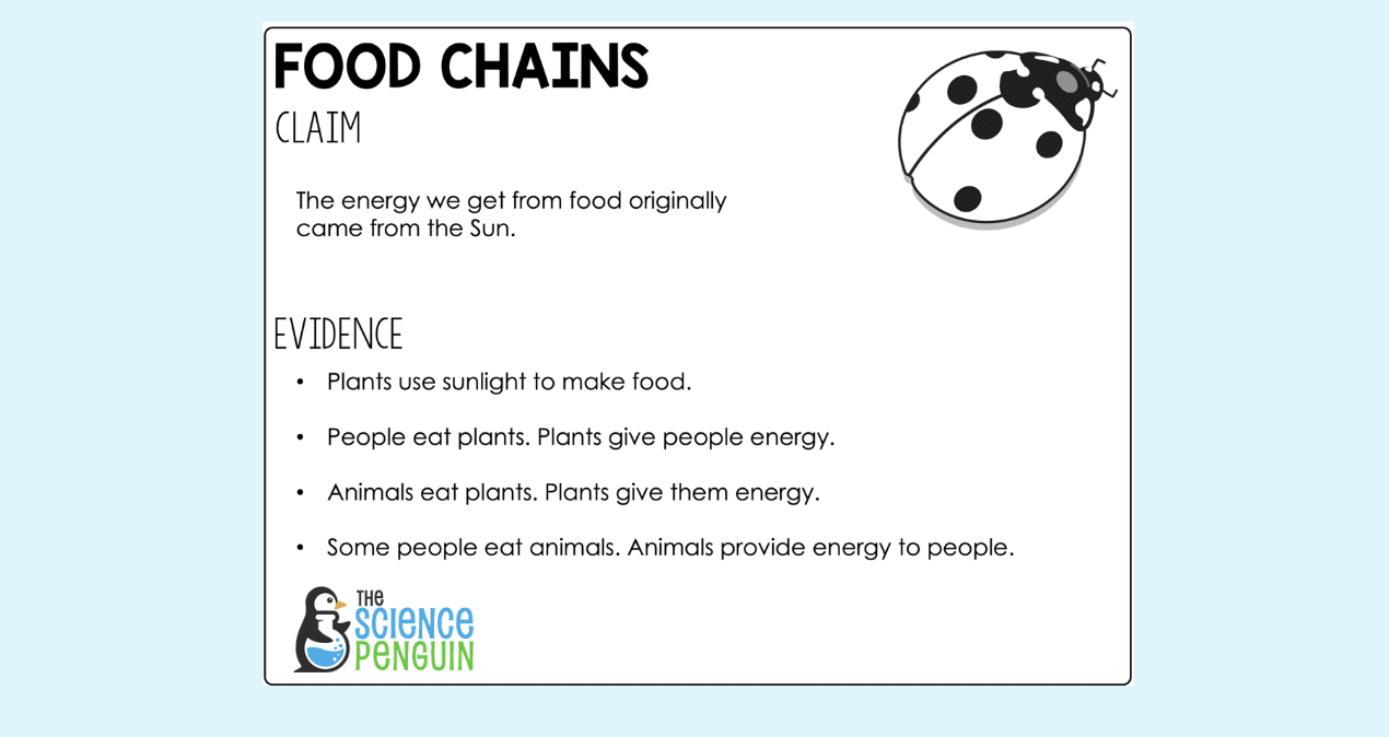 How to Teach Food Chains for 2nd and 3rd Grade — The Science Penguin