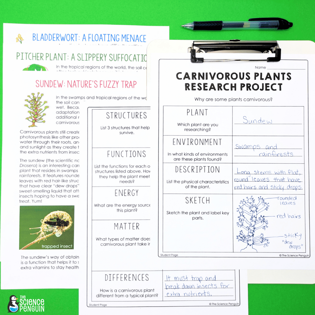 New Science TEKS (2024 Update!) — The Science Penguin