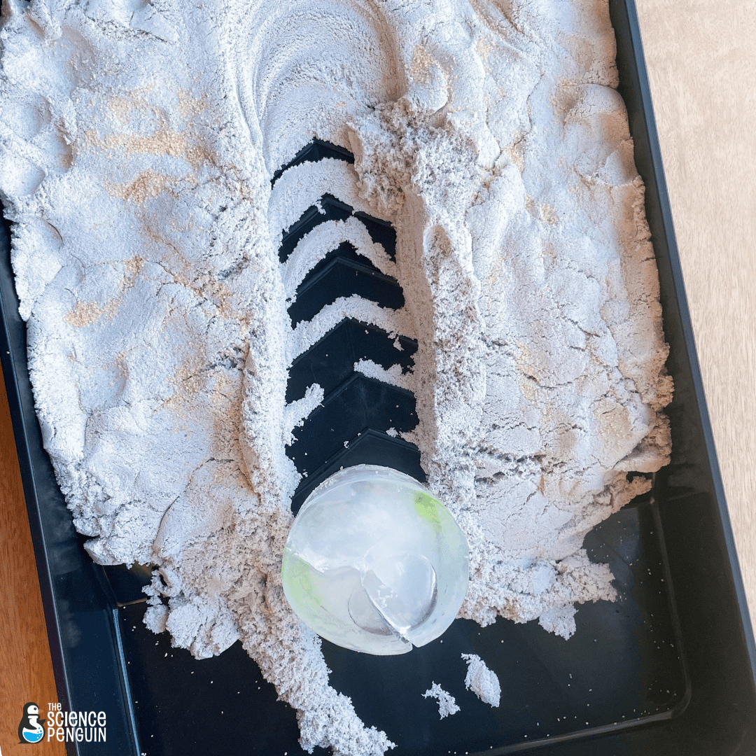 New Science TEKS (2024 Update!) — The Science Penguin