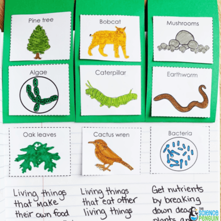 New Science TEKS (2024 Update!) — The Science Penguin