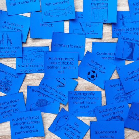 5th Grade Science STAAR Test Prep 2026 — The Science Penguin