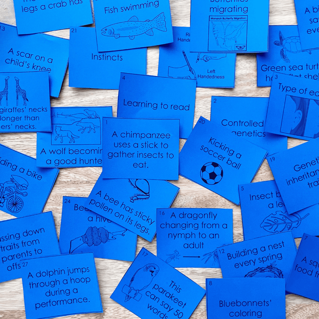 5th Grade Science STAAR Test Prep 2026 — The Science Penguin